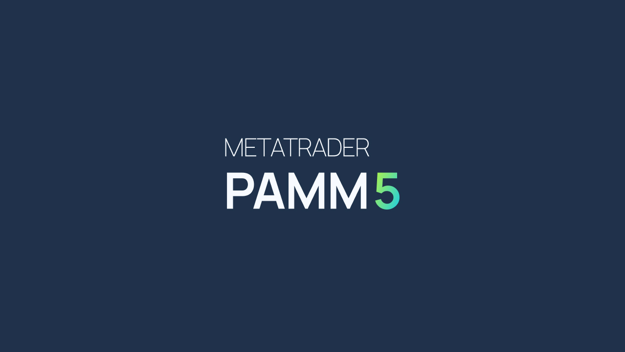 MT4/MT5 PAMM | Brokeree Solutions